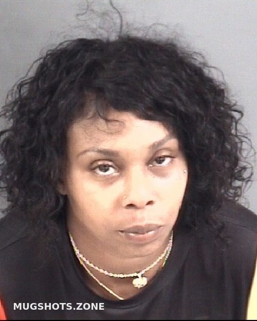 ADAMS ERICA ALEXANDRA 03/18/2024 - Cumberland County Mugshots Zone