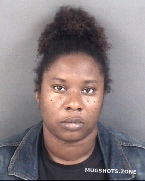 EVERETT ROSHIA RENEE 04/17/2024 - Cumberland County Mugshots Zone