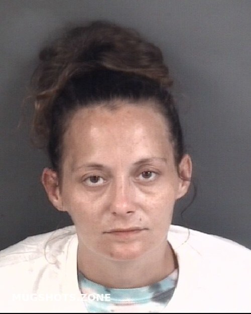 EMERICK ASHLEY MICHELLE 06/03/2024 - Cumberland County Mugshots Zone