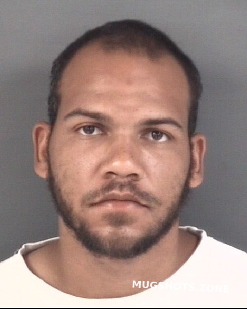 LINDLEY TANNER LEE 06/05/2024 - Cumberland County Mugshots Zone