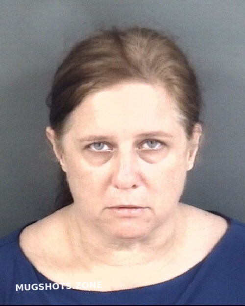 WILSON ADRIENNE ANNE 06/13/2024 - Cumberland County Mugshots Zone