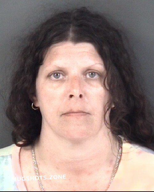 JOHNSON CANDICE CHARLENE 06/19/2024 - Cumberland County Mugshots Zone