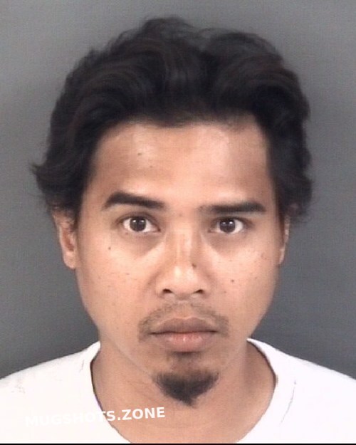 DELOS REYES IAN JOSHUA ESTARDO 06/25/2024 - Cumberland County Mugshots Zone