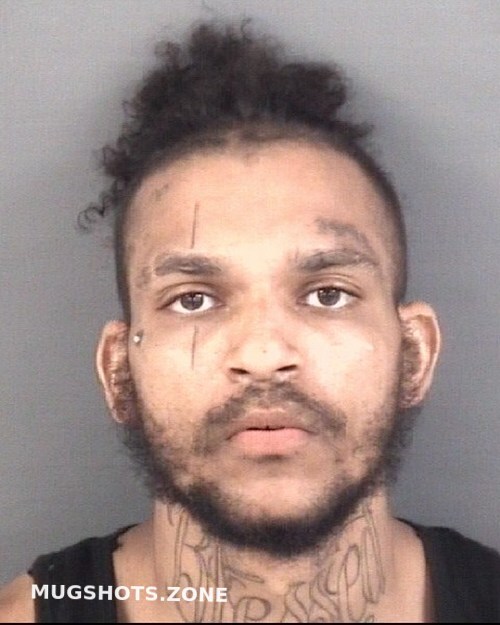 REED CHARLES ANTHONY 08/02/2024 - Cumberland County Mugshots Zone