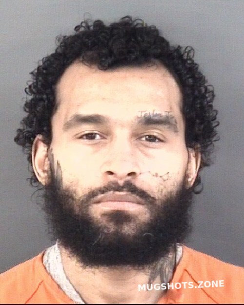 ALEXANDER BRIAN ANTHONY 08/07/2024 - Cumberland County Mugshots Zone