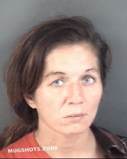 BREWINGTON AMANDA MICHELLE 08/14/2024 - Cumberland County Mugshots Zone