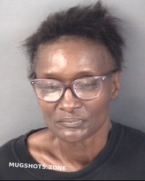 TYSON DEBRA DENISE 08/14/2024 - Cumberland County Mugshots Zone