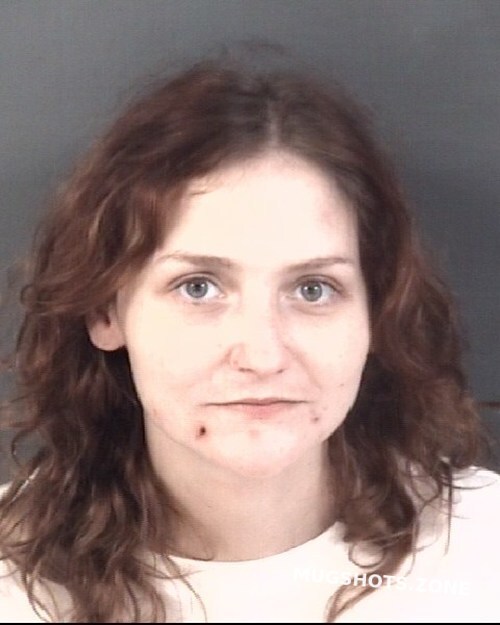 HALL ALLISON NICOLE 08/20/2024 - Cumberland County Mugshots Zone