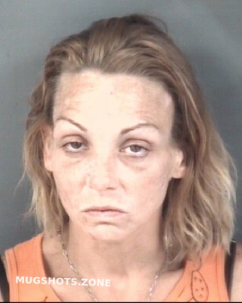 WINSTON TAYLOR RENEE 08/26/2024 - Cumberland County Mugshots Zone