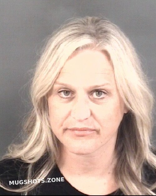 HARRISON BRANDY SNOW 08/28/2024 - Cumberland County Mugshots Zone