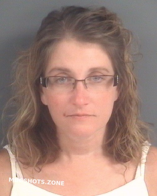 STEPHENSON APRIL ELIZABETH 09/15/2024 - Cumberland County Mugshots Zone