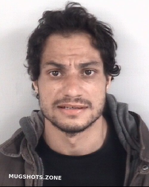 HARDY TRAVIS ALLEN 01/22/2026 - Cumberland County Mugshots Zone