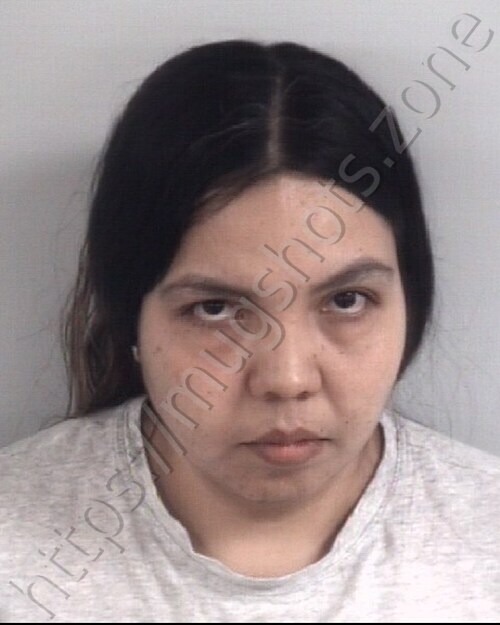 FAVELA OCHOA BRENDA ESTELA 04/20/2026 - Cumberland County Mugshots Zone