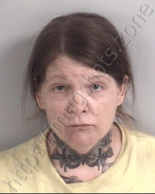 WOOD CHRISTINA MARIE 05/05/2026 - Cumberland County Mugshots Zone