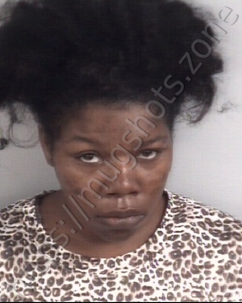 SCOTT MEGAN SYMONE 06/16/2026 - Cumberland County Mugshots Zone