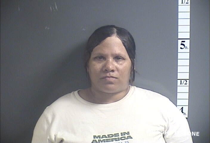 BARNES WANDA A 09/13/2025 - Cumberland County Mugshots Zone