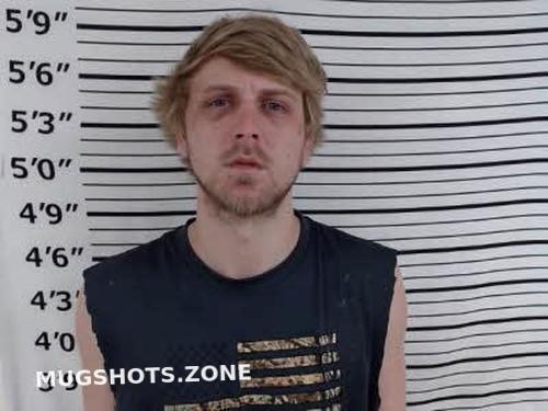 RONNIE WILLIAMSON 03/01/2023 - Dale County Mugshots Zone