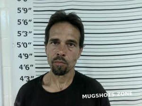 STEVEN KING 08/08/2023 - Dale County Mugshots Zone