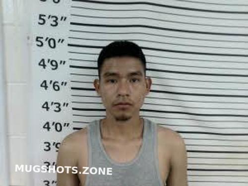 ALVARO GONZALO CAAL 04/14/2024 - Dale County Mugshots Zone