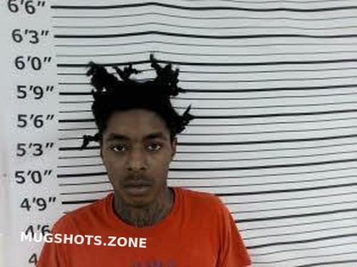 DAVID HAMILTON 04/23/2024 - Dale County Mugshots Zone