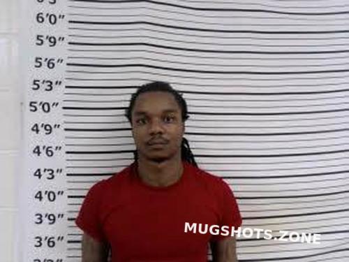 CHAUNCY LEWIS 01/20/2025 - Dale County Mugshots Zone
