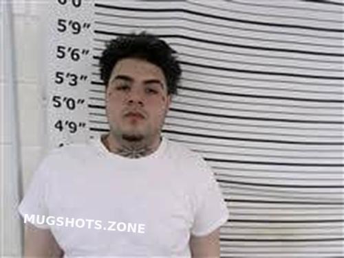 NICHOLAS LOZA 02/18/2025 - Dale County Mugshots Zone