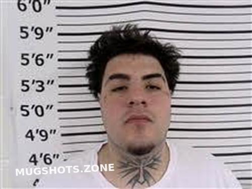 NICHOLAS LOZA 03/14/2025 - Dale County Mugshots Zone