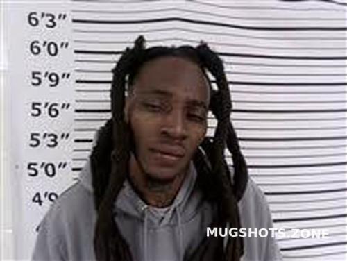DAREN WILSON 04/20/2025 - Dale County Mugshots Zone