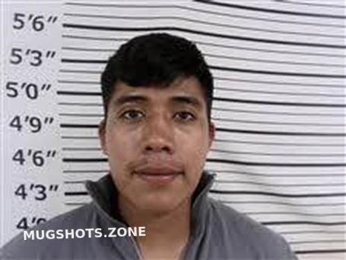 Uriel Hernandez 05 08 2025 Dale County Mugshots Zone