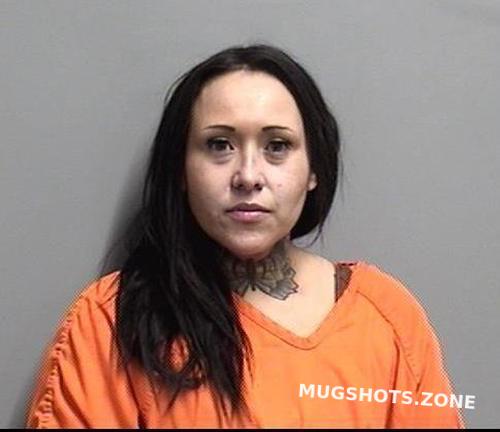 GUSTAFSON ALISON NOEL 01/02/2021 - Dallas County Mugshots Zone