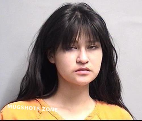 ALLEN NADINE SHYANN RENEE 04/12/2022 - Dallas County Mugshots Zone