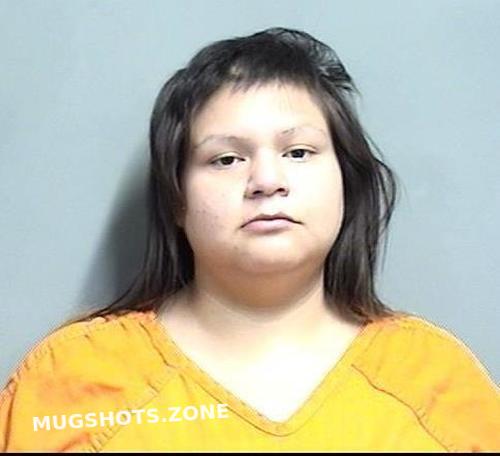 CANTU ALICIA ANNA 11/15/2022 - Dallas County Mugshots Zone