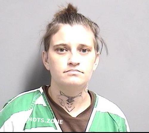 HARDIN TABITHA LYNNETTE 01/25/2023 - Dallas County Mugshots Zone