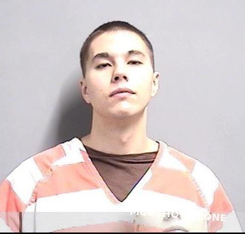LADWIG JACOB MATTHEW 06/12/2024 - Dallas County Mugshots Zone