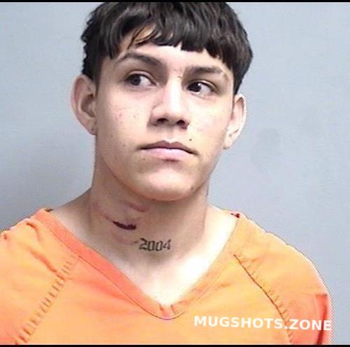 RAMIREZ NAVAS JOHAN ANGEL 10/19/2024 - Dallas County Mugshots Zone