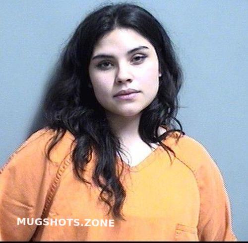 STEEVE ROBYN RAIN 12/28/2025 - Dallas County Mugshots Zone