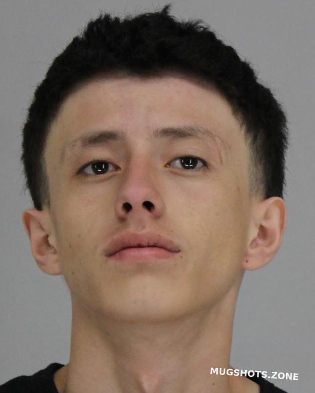 ROJAS JOEL 04/13/2021 - Dallas County Mugshots Zone