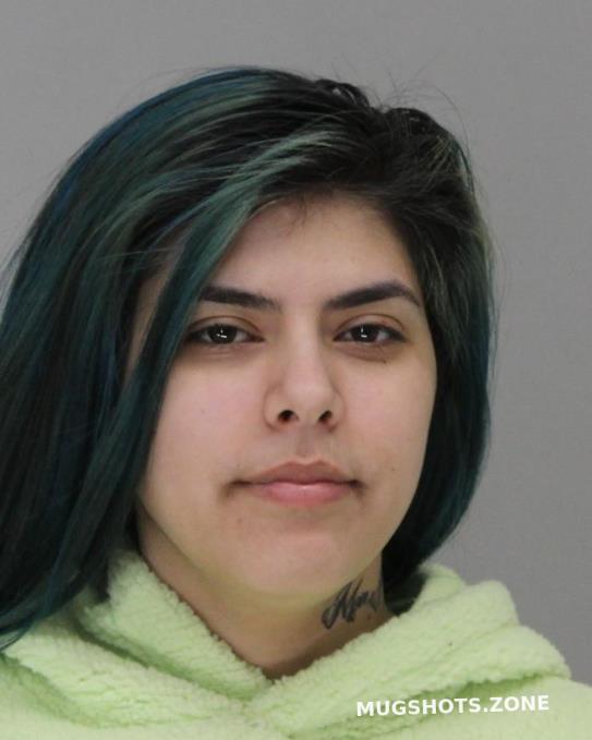 ASKEW BRITTANY 04/11/2022 - Dallas County Mugshots Zone