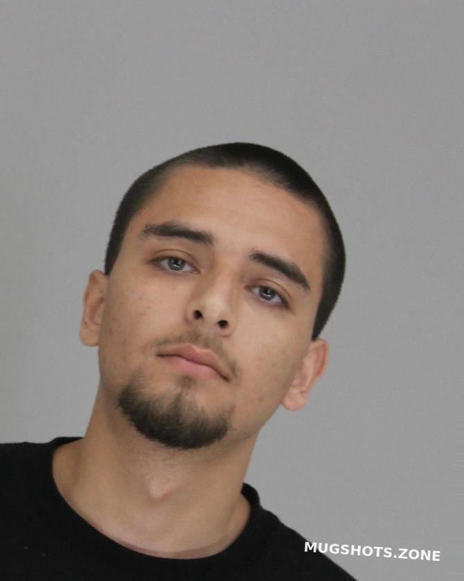 ROMAN ANGEL 06/17/2022 - Dallas County Mugshots Zone