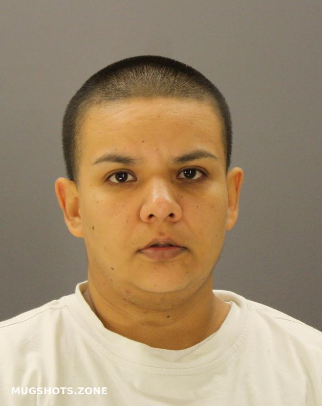 Longoria Angie 07 06 2022 Dallas County Mugshots Zone