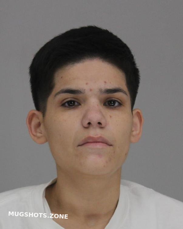 Chong Naomi 10 26 2022 Dallas County Mugshots Zone