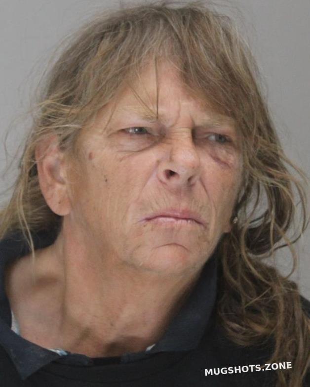 FINE SUSAN 10/30/2022 - Dallas County Mugshots Zone