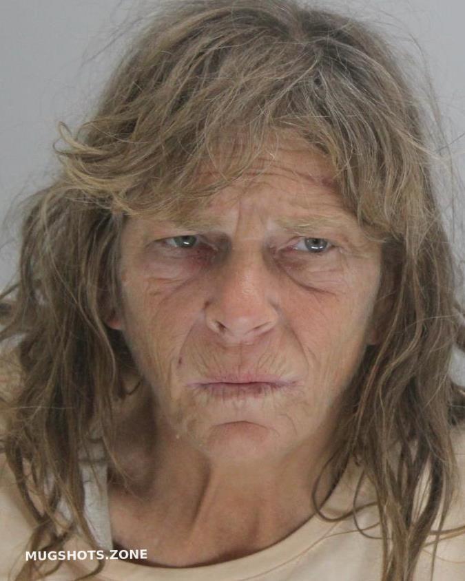 FINE SUSAN 11/05/2022 - Dallas County Mugshots Zone