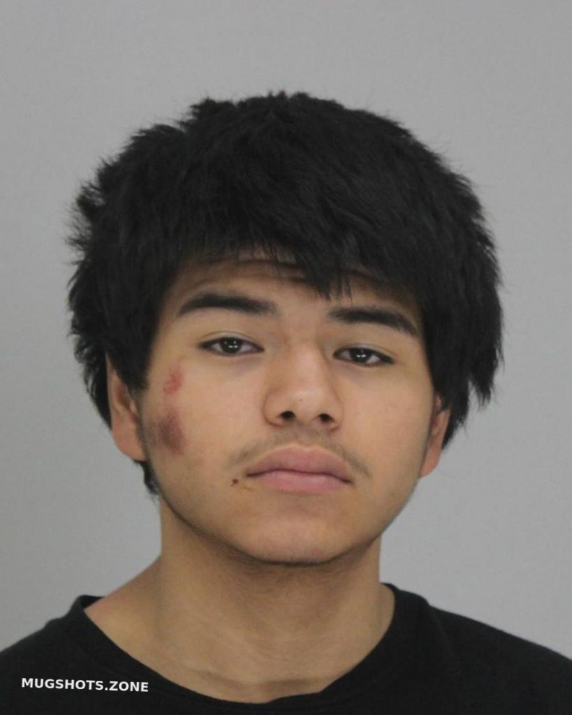 SALINAS IGNACIO 11/07/2022 - Dallas County Mugshots Zone