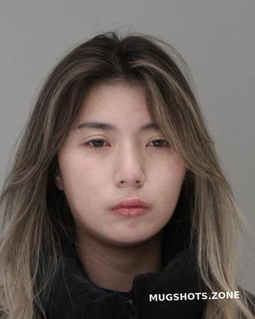 SU JIARUI 12/22/2022 - Dallas County Mugshots Zone