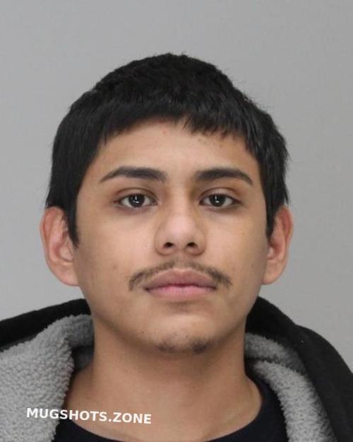 HERNANDEZ GAEL 02/13/2023 - Dallas County Mugshots Zone HERNANDEZ GAEL 02/13/2023 - Dallas County Mugshots Zone