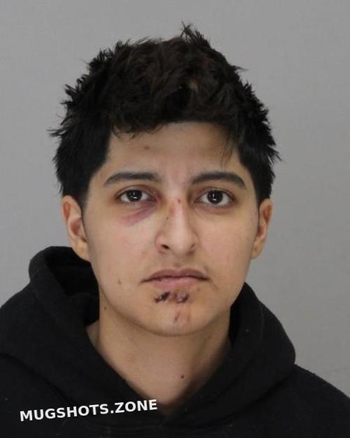 BAHENA NATALIE 03/01/2023 - Dallas County Mugshots Zone