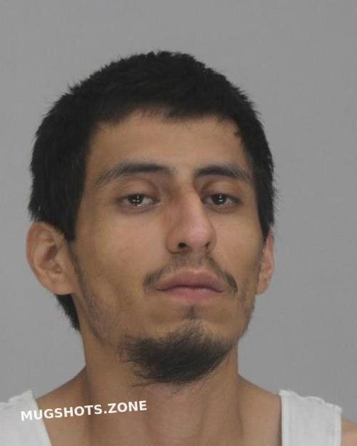 LUU NANCY 03/02/2023 - Dallas County Mugshots Zone