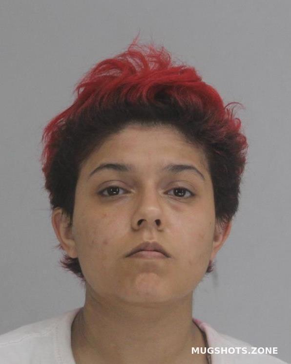 CASTILLO ELYSSA 03/26/2023 - Dallas County Mugshots Zone
