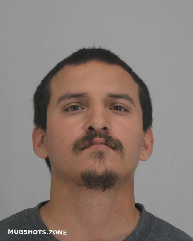 LUNA GAVIN 03/29/2023 - Dallas County Mugshots Zone